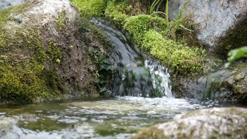 Pure Fresh Water Stream in Stock Footage Video (100% Royalty-free ...