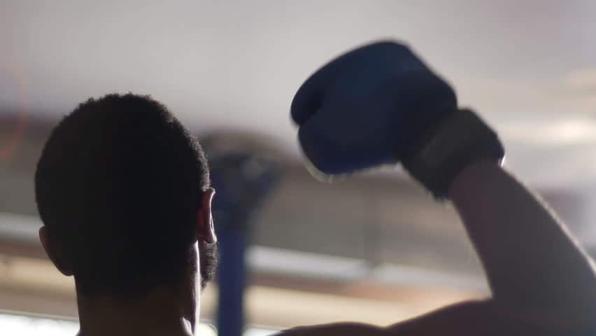 Boxing Champion Celebrating Victory with Stock Footage Video (100% ...