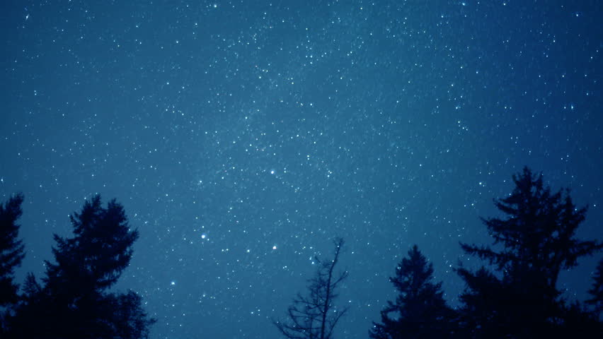 A Time Lapse Of A Starry Night With A Shadow Of A Tree In Foreground ...