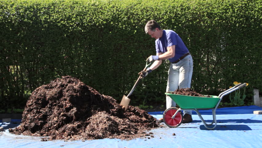 Stock video of man shoveling manure into wheelbarrow | 2692466 ...