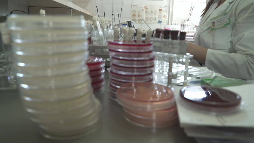 Laboratory Technician Taking Specimens From Test Tubes And Analyzing ...