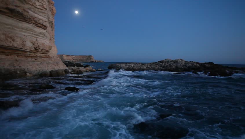 Moonlight Beach Stock Footage Video (100% Royalty-free) 2734106 ...