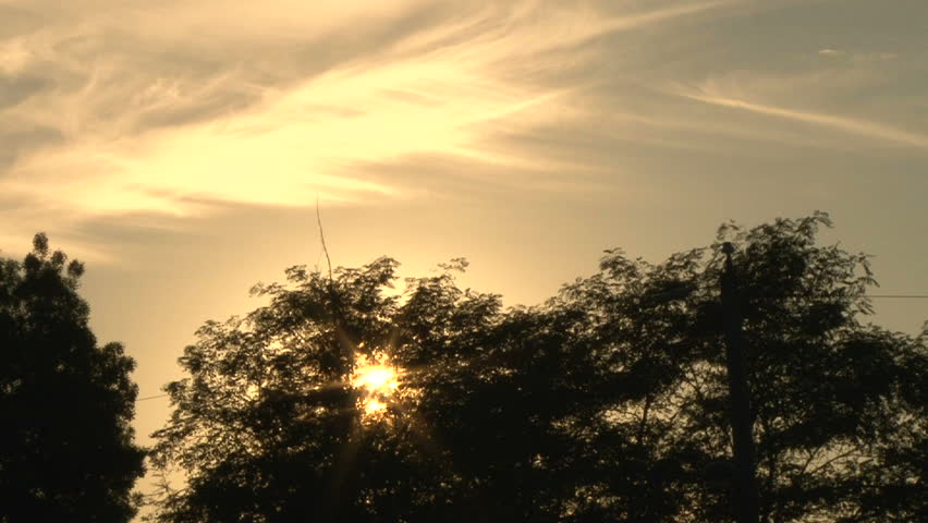 Sunshine Star Flare Flickering Through Windy Tree Leaves At Sunset ...