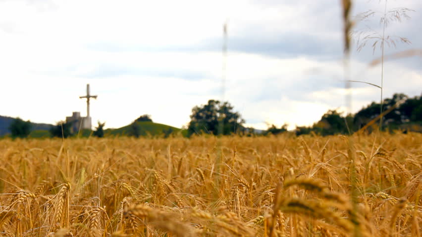 Crop Field in Bad Weather Stock Footage Video (100% Royalty-free ...