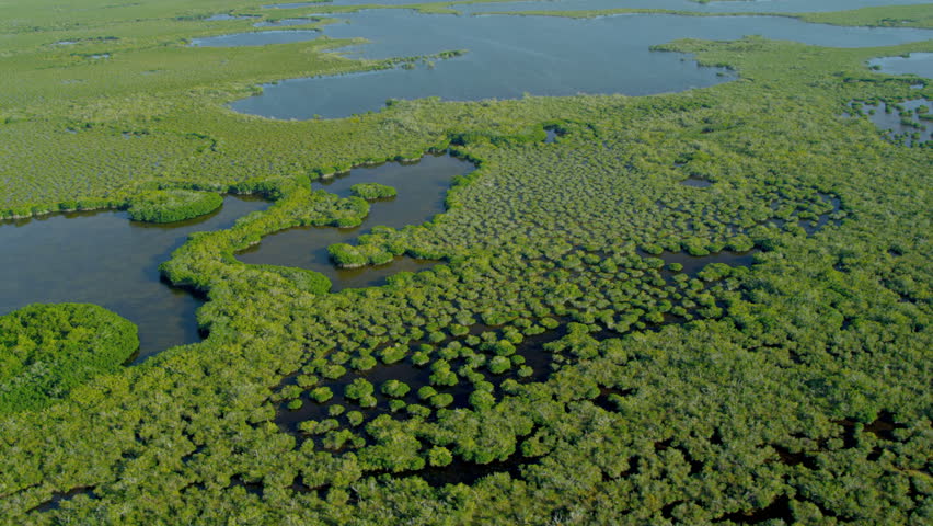 Florida Bay at Everglades National Park, Florida image - Free stock ...