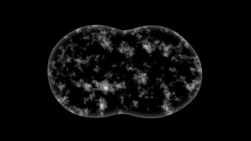 Cells Under A Microscope The Cell Division Animation Stock Footage ...