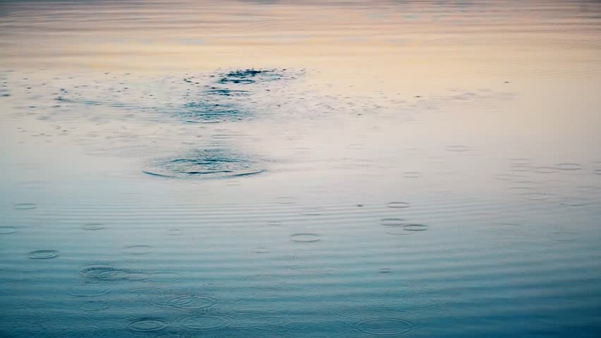 Stone Thrown In Water Stock Footage Video 6625553 | Shutterstock