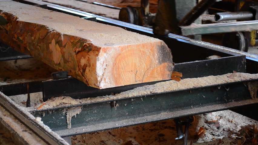 Stock Video Clip of Sawmill. Process of machining logs in equipment ...