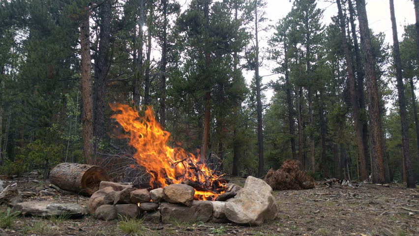 Burning Large Fire In Fire Pit In Pine Forest With Sun Shinning From ...