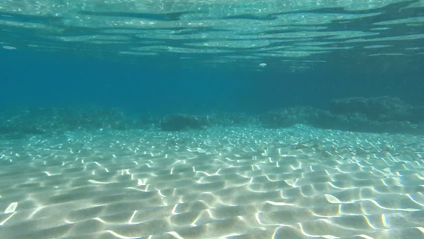 Underwater, Sand, Algae. Stock Footage Video (100% Royalty-free ...