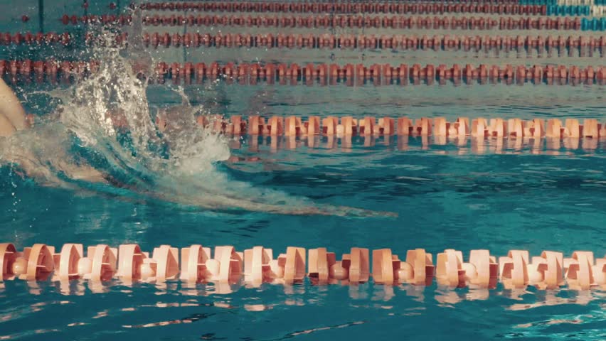 Swimmer In Action In Waterpool With Blue Water At Sunny Day. Slow ...