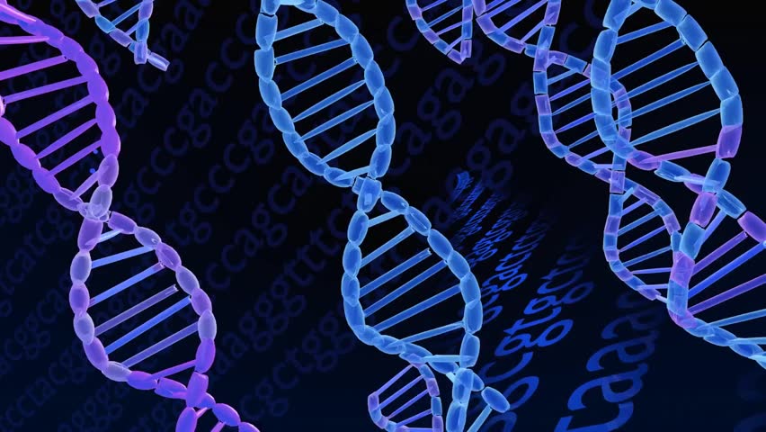 Seamless Looping Animation Of Rotating DNA Strands. Stock Footage Video ...
