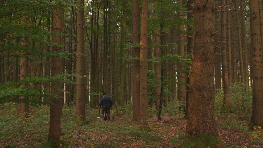 Man Treasure Hunting Forest Wide Stock Footage Video (100% Royalty-free ...