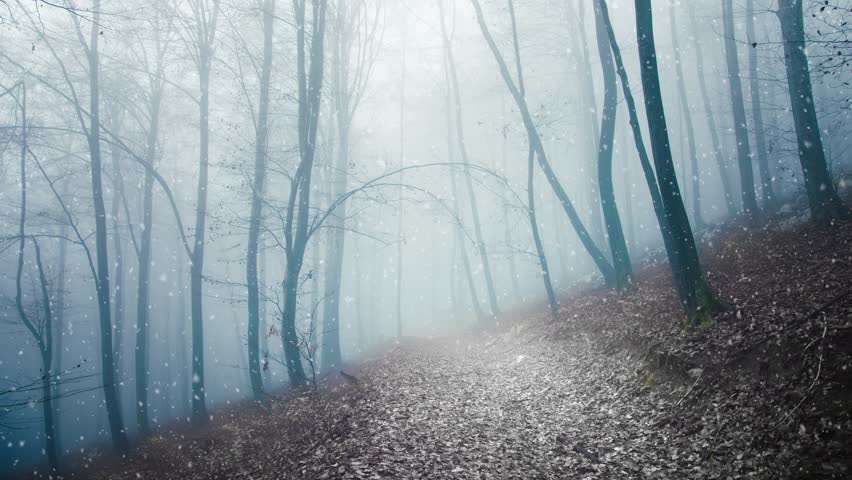 Stock video of snow falling in foggy and scary | 33634336 | Shutterstock