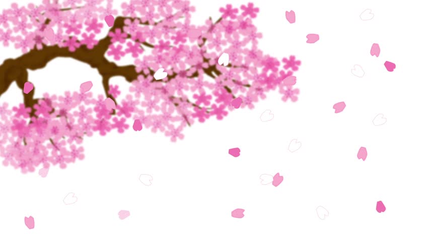 Animation Of Falling Petals Of Sakura With Flowers Sakura Waving On ...