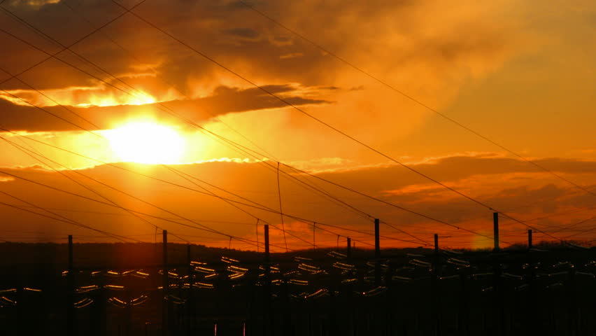 Sunset Over Electrical Wires, Hd Stock Footage Video (100% Royalty-free ...