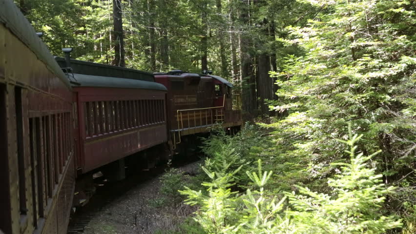 Skunk Train Crosses Trestle Bridge Northern California. Historic ...