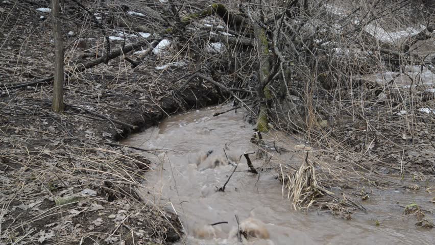 Stock Video Clip of Dirty spring stream in forest | Shutterstock