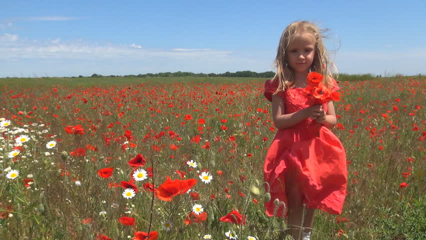 Stock Video Clip of Child Picking Poppies, Girl Playing with Poppy ...