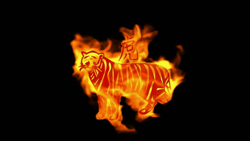 Chinese Zodiac Of Fire Dragon And Handwriting Chinese Kanji,china ...