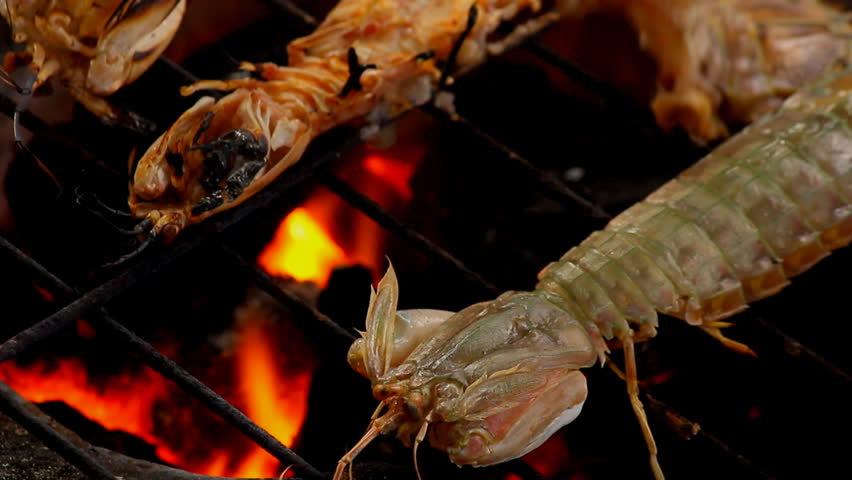 Grilled Mantis Shrimp Stock Footage Video (100% Royalty-free) 4159366 ...