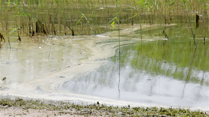 Contamination of the Lake. Stock Footage Video (100% Royalty-free ...