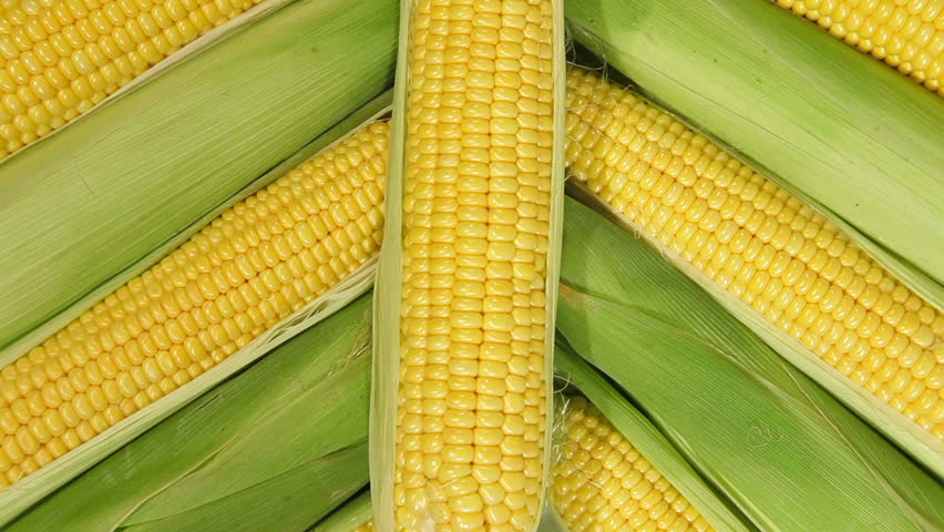 Mielie Stock Footage Video | Shutterstock