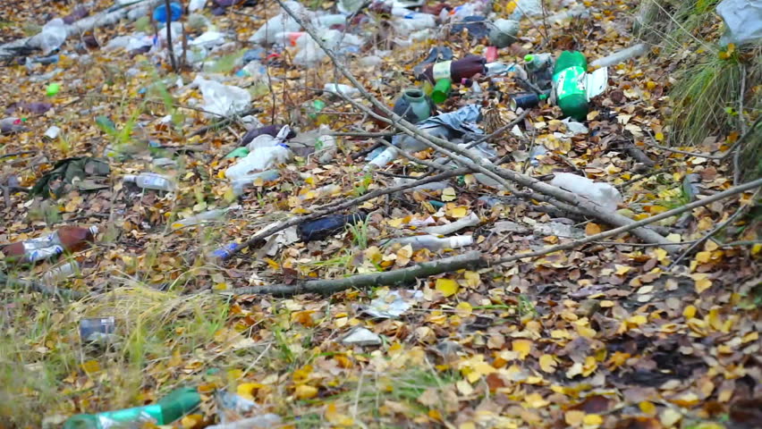 Slowly Motion: Garbage Laying Among Leaves In Autumn Forest Stock ...