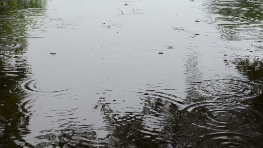 Stock Video Clip of Soak bog pool water and rainfall rain | Shutterstock