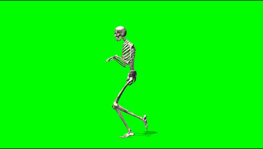 Skeleton Sneaks - Seperated On Green Screen Stock Footage Video 5415467 ...
