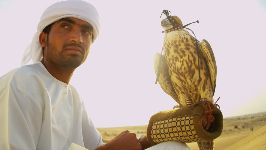 Trained Bird Of Prey Perching On The Gloved Wrist Of Its Arabic Male ...