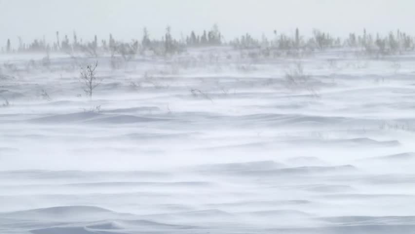 Tundra Stock Footage Video | Shutterstock