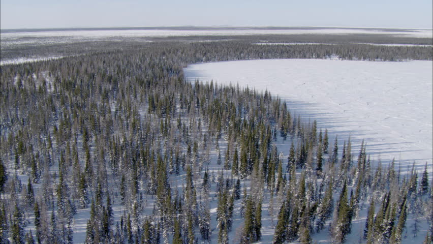 Frozen Tundra Helicopter. Aerial Shot Of A Vast Frozen Expanse Of Flat ...