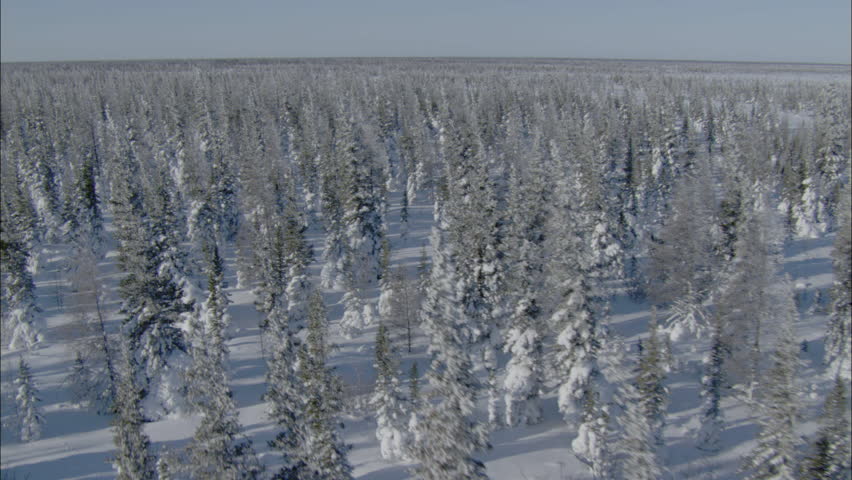 Frozen Tundra Helicopter. Aerial Shot Of A Vast Frozen Expanse Of Flat ...