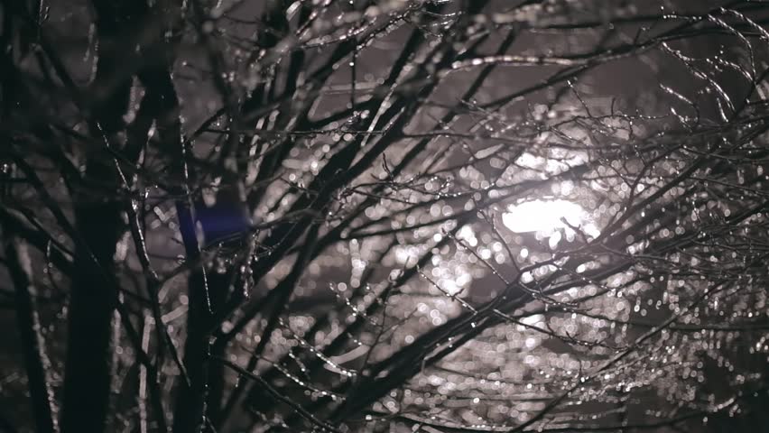 Sliding Through Tree with Sleet Vidéos de stock (100 % libres de droit ...