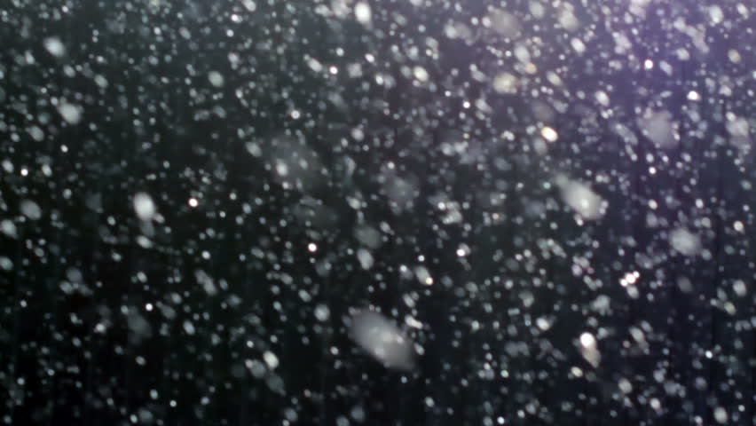 Natural Light Snow Falling with Stock Footage Video (100% Royalty-free ...