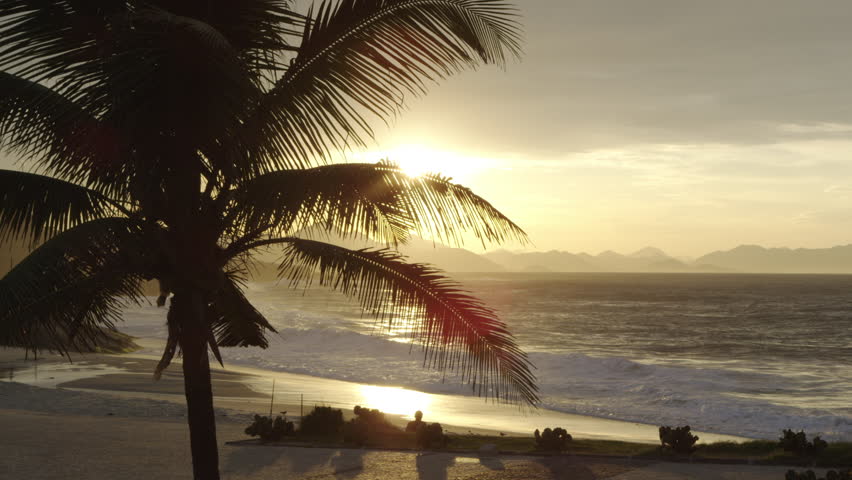 Hazy Tropical Morning In Oaxaca South Mexico Stock Footage Video ...