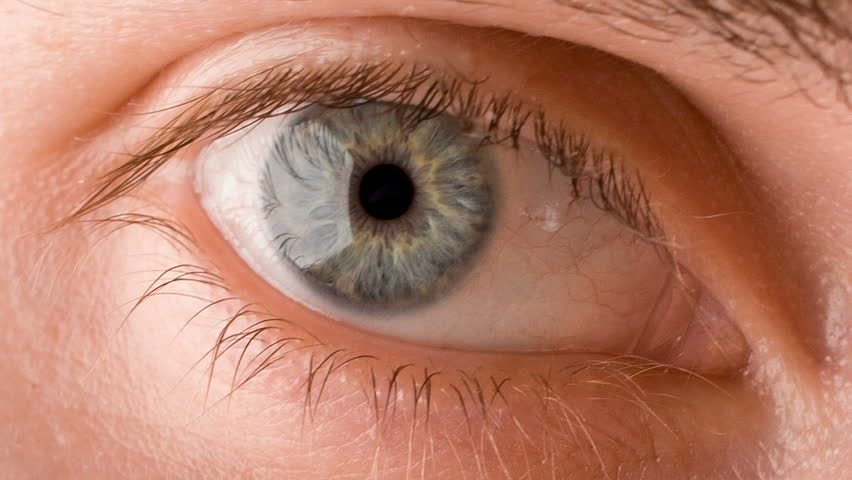 Closeup Of Man's Eye Moving Looking Around Stock Footage Video 3491321 ...