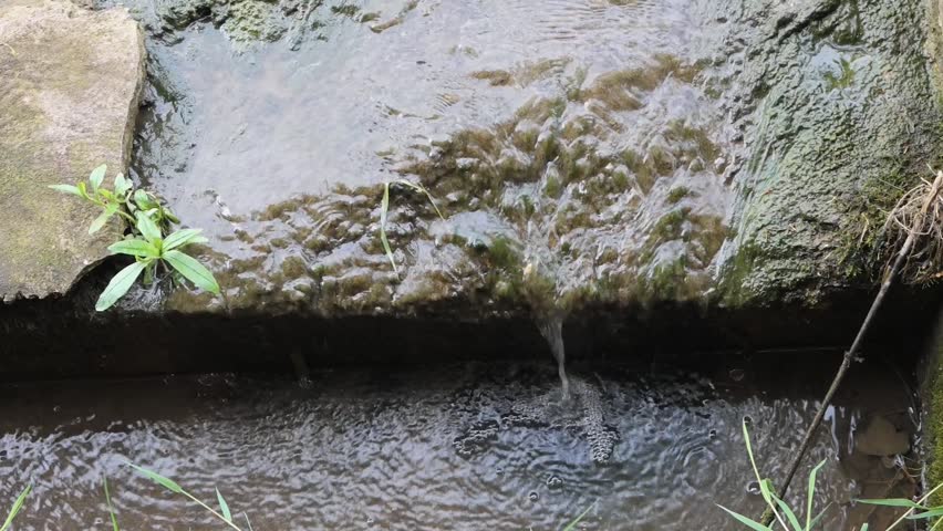 Flowing Water Falling Over Stone Stock Footage Video (100% Royalty-free ...