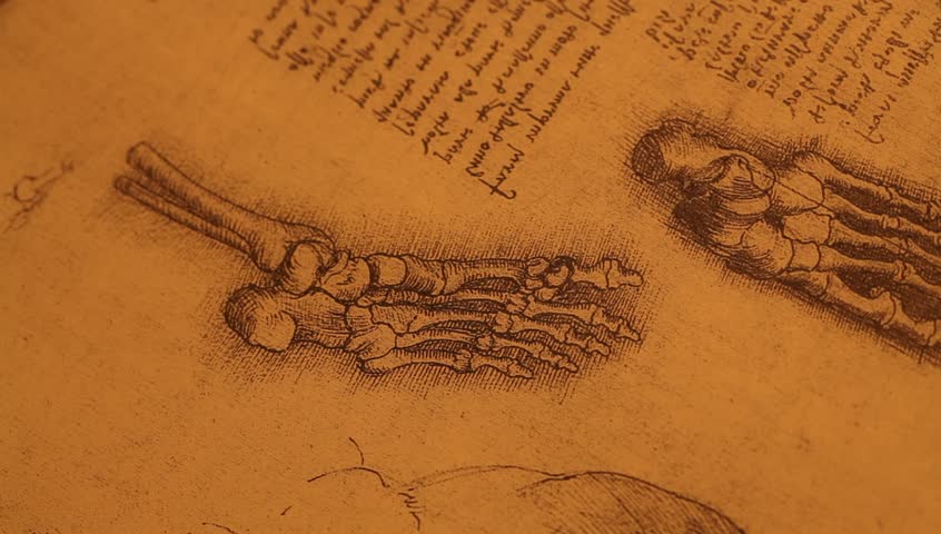 Close up of Ancient Anatomy Stock Footage Video (100% Royalty-free ...