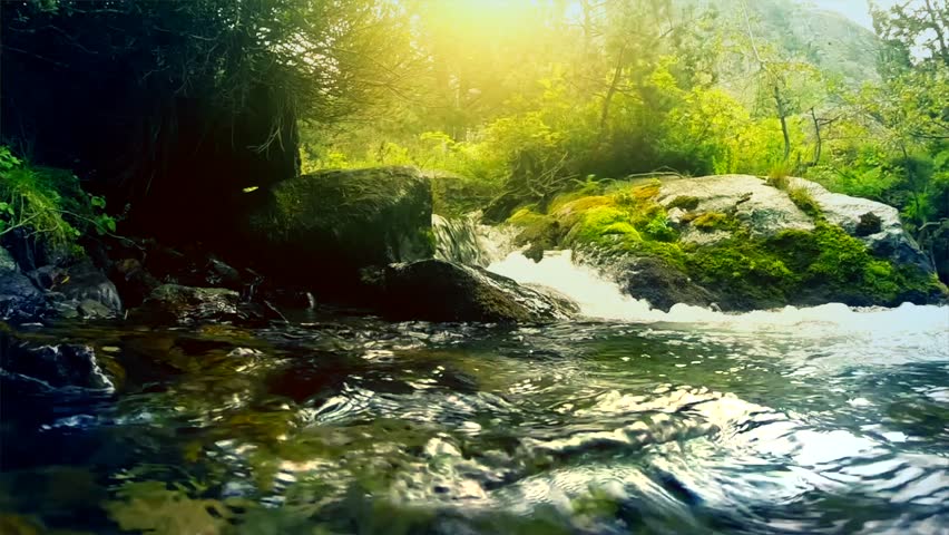 Beautiful Mountain River In The Forest. River With Fresh Water Flows ...