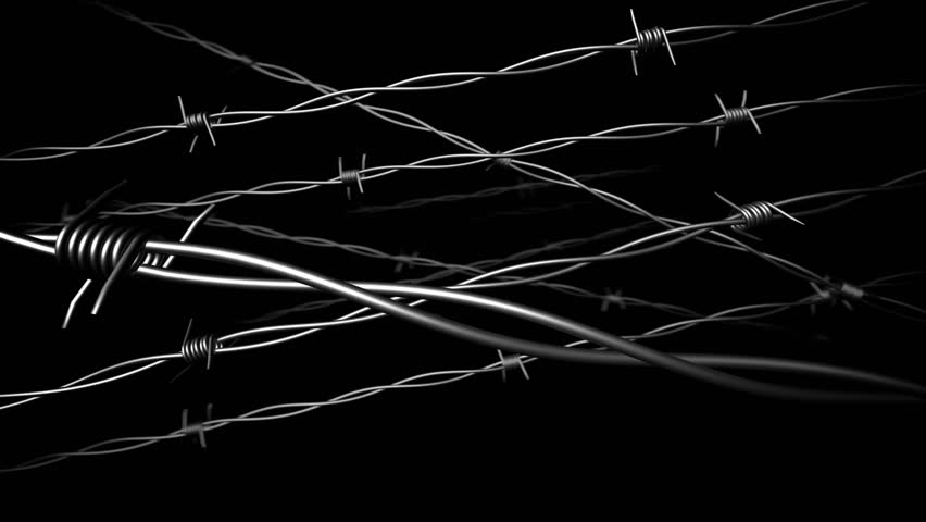 Barbed Wire Loop, Looping Stock Footage Video 3207715 | Shutterstock