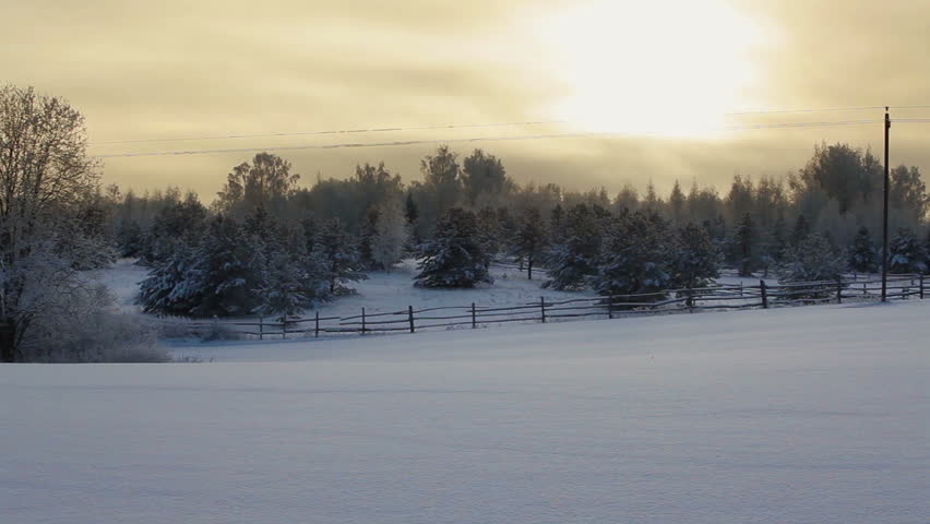 Winter In The Russian Countryside, The Plants Are Covered With Snow ...