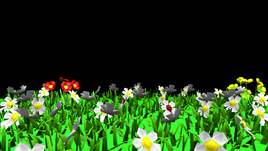 A Beautiful Field Of Colourful Flowers And Grass Swaying Gently In The ...