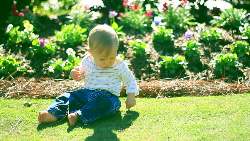 Baby Crawling, in Flower Garden Stock Footage Video (100% Royalty-free ...