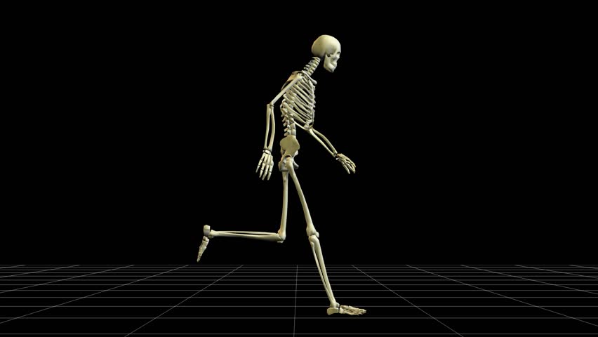 Skeleton Running Stock Footage Video (100% Royalty-free) 947236 ...